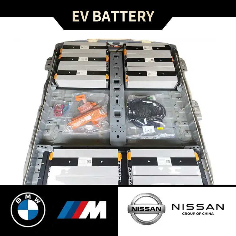 Wholesale Nissan leaf BMW i3 battery modules for replacement and upgrading the Endurance Manufacturer and Supplier D King